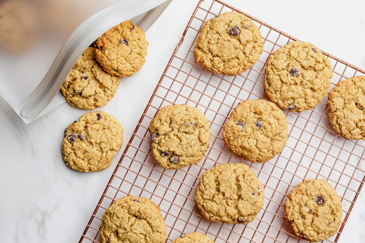 Homemade Oatmeal Lactation Cookies - Fed & Fit