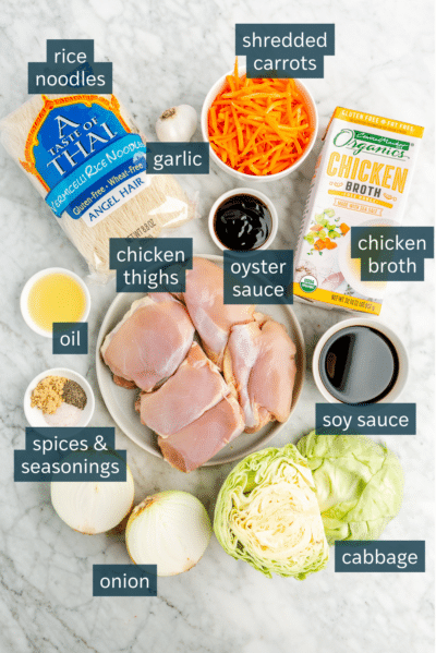 Authentic Chicken Pancit Recipe - Fed & Fit